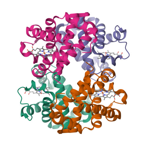 RCSB PDB - 6SVA: Multicrystal structure of equine Haemoglobin at room ...