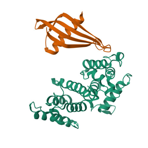RCSB PDB - 6SWT: Affimer9 co-crystalised with the CH domains of alpha ...