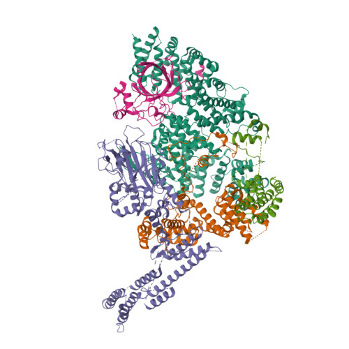 RCSB PDB - 6SWY: Structure of active GID E3 ubiquitin ligase complex ...
