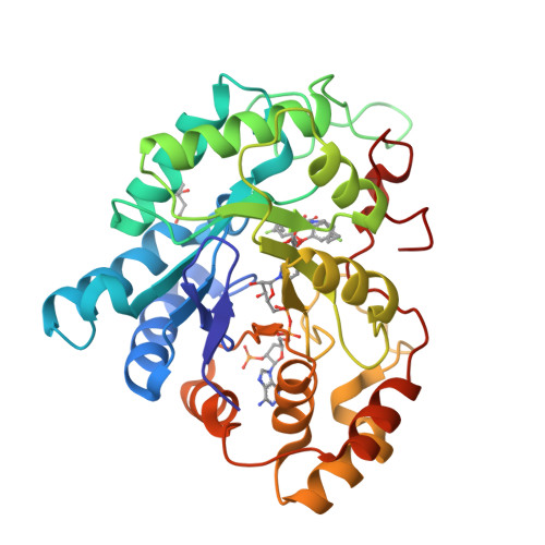 RCSB PDB - 6SYW: human Aldose Reductase in complex with SAR25