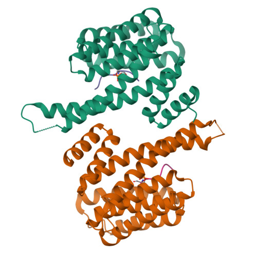 RCSB PDB - 6T80: Human 14-3-3 sigma fused to the AANAT peptide ...