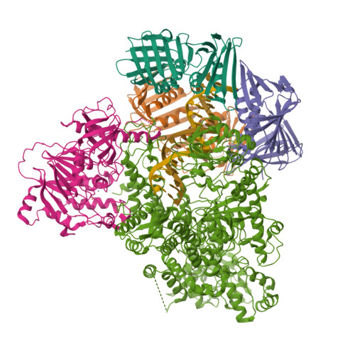 RCSB PDB - 6T8H: Cryo-EM structure of the DNA-bound PolD-PCNA ...