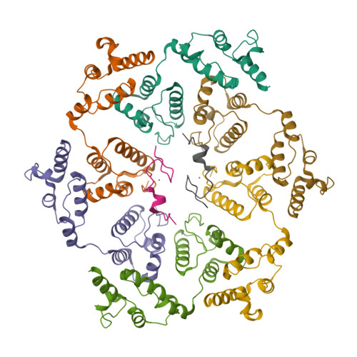 RCSB PDB - 6TAS: Structure of the two-fold capsomer of the dArc1 capsid