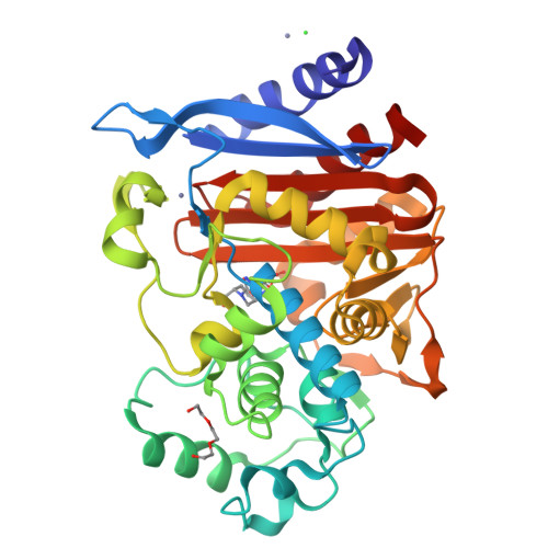 RCSB PDB - 6TBW: Crystal structure of AmpC from E.coli with Avibactam