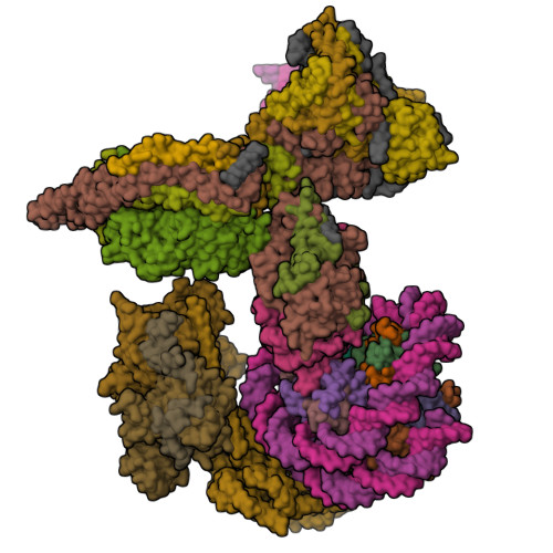RCSB PDB - 6TDA: Structure of SWI/SNF chromatin remodeler RSC bound to ...