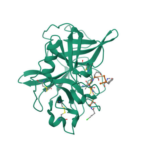 RCSB PDB - 6TH7: Structure of porcine pancreatic elastase in complex ...