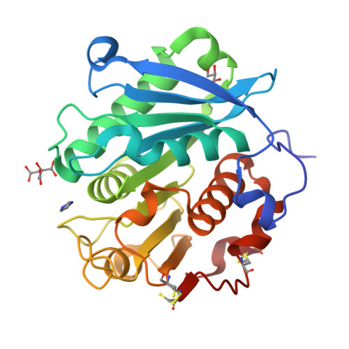 RCSB PDB 6THT High Resolution Crystal Structure Of A Leaf branch rcsb-pdb-6tht-high-resolution-crystal-structure-of-a-leaf-branch