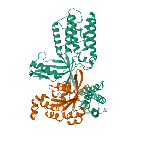RCSB PDB - 6TKY: Crystal structure of the DHR2 domain of DOCK10 in ...