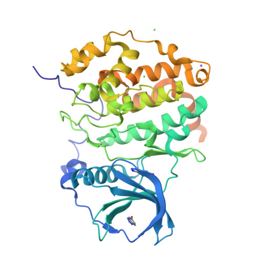 RCSB PDB - 6TLV: HUMAN CK2 KINASE ALPHA SUBUNIT IN COMPLEX WITH THE ATP-COMPETITIVE INHIBITOR 5 ...