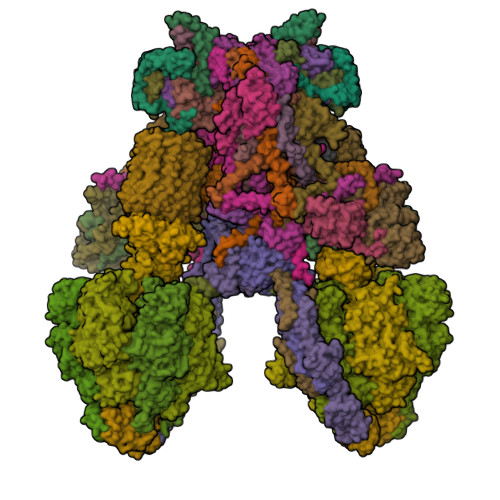 RCSB PDB - 6TMK: Cryo-EM structure of Toxoplasma gondii mitochondrial ...