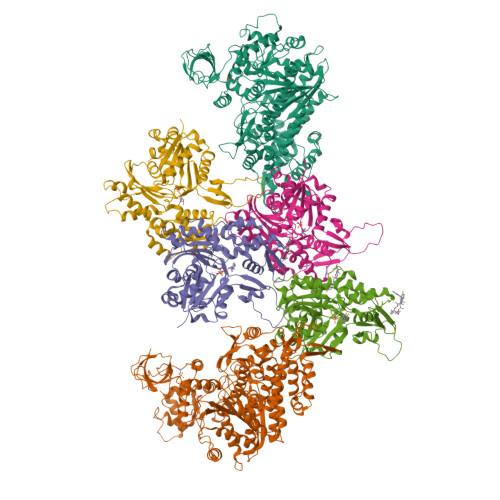 RCSB PDB - 6TU7: Structure of PfMyoA decorated Plasmodium Act1 filament