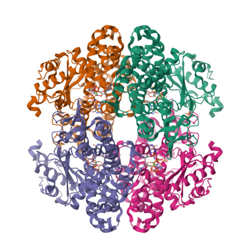 RCSB PDB - 6TXA: Crystal structure of tetrameric human D137N-SAMHD1 ...