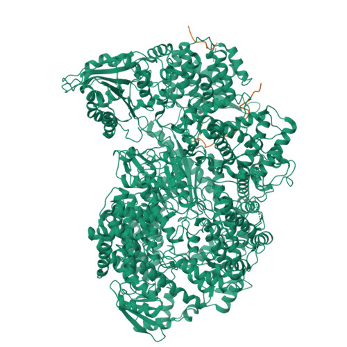 RCSB PDB - 6U1X: Structure of the Vesicular Stomatitis Virus L Protein ...