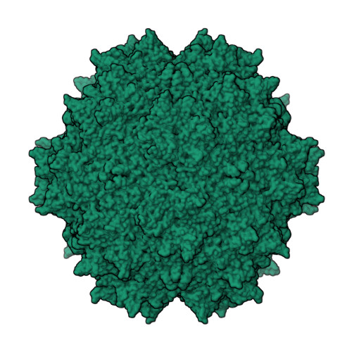 RCSB PDB - 6U20: AAV8 human HEK293-produced, empty capsid