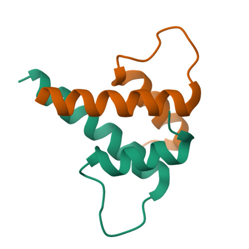RCSB PDB - 6U2U: Helix-Loop-helix motif of mouse DNA-binding protein ...