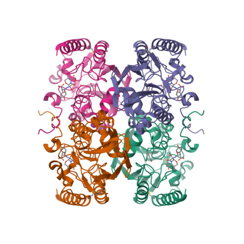 RCSB PDB - 6U2Z: Crystal Structure of the metallo-beta-lactamase L1 ...