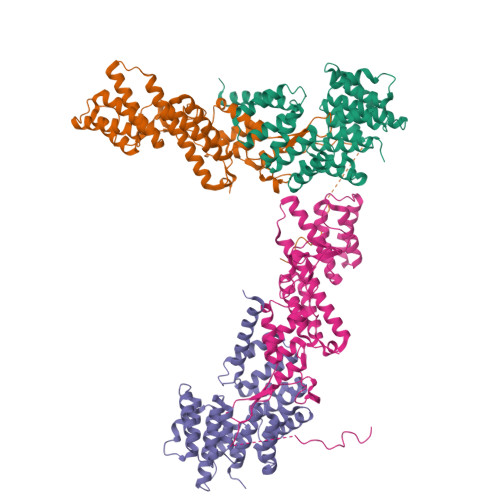 RCSB PDB - 6U3V: Crystal structure of human alpha/epsilon-COP of the ...