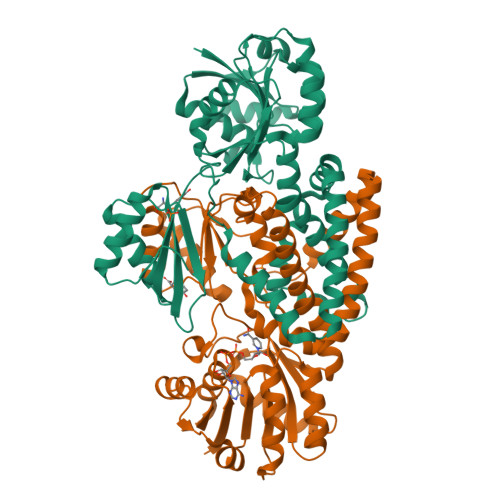 RCSB PDB - 6U60: Crystal structure of prephenate dehydrogenase tyrA ...