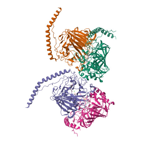 RCSB PDB - 6UBV: The structure of the Streptococcus gordonii surface ...
