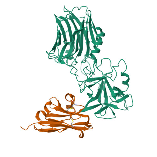 RCSB PDB - 6UC6: Crystal structure of BoNT/B receptor-binding domain in ...