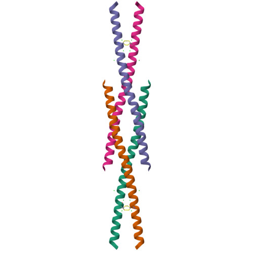 RCSB PDB - 6UCL: Transcription factor deltaFosB bZIP domain self ...
