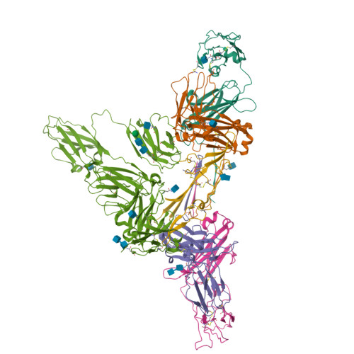 RCSB PDB - 6UE7: Structure of dimeric sIgA complex