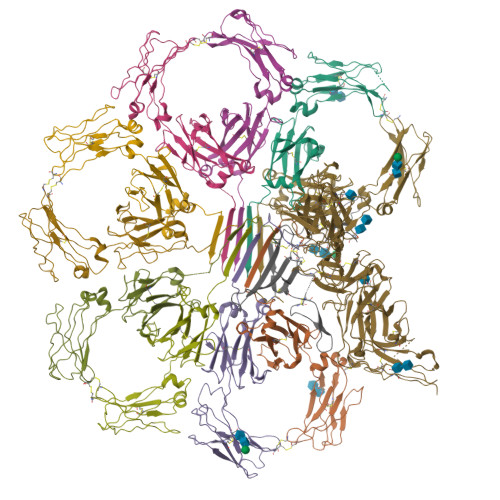 RCSB PDB - 6UEA: Structure of pentameric sIgA complex