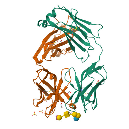 RCSB PDB - 6UG7: Complex of ch28/11 Fab and SSEA-4 (tetragonal form)