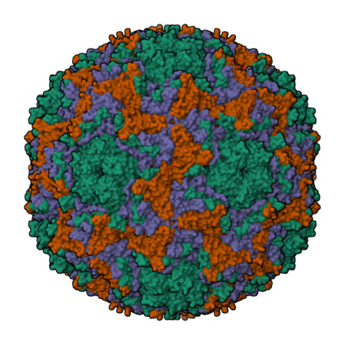 RCSB PDB - 6UH1: Structure of the EVA71 strain 11316 capsid