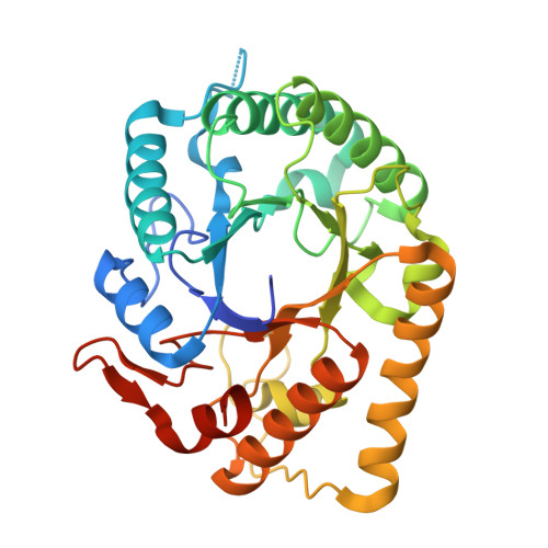 RCSB PDB - 6UJE: Crystal structure of the Clostridial cellulose ...