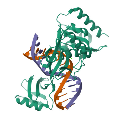 RCSB PDB - 6UKH: HhaI endonuclease in Complex with DNA in space group ...