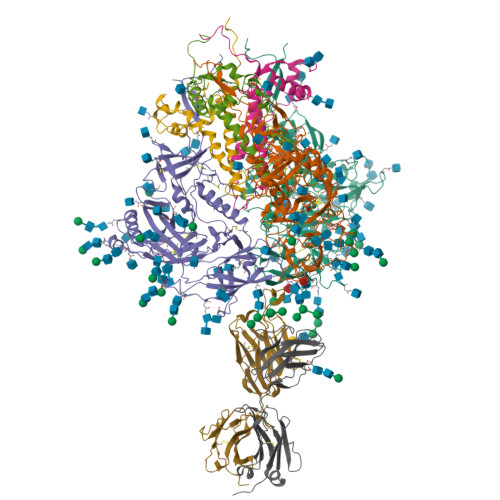 RCSB PDB - 6ULC: Structure of full-length, fully glycosylated, non ...
