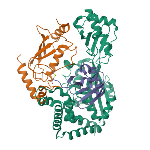 RCSB PDB - 6UMS: Crystal structure of MavC in complex with its ...