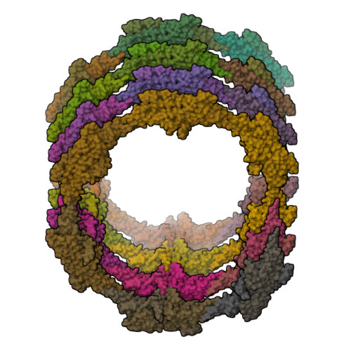RCSB PDB - 6UPN: Endophilin B1 helical scaffold