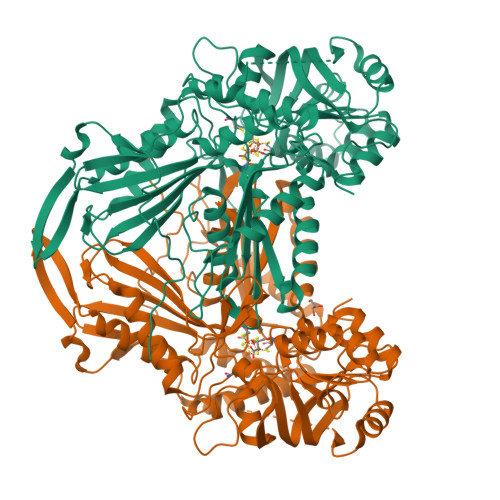 RCSB PDB - 6UQ9: Crystal structure of R421A variant of cytosolic ...