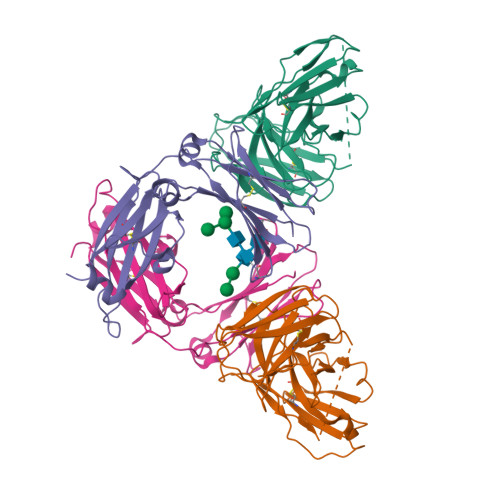RCSB PDB - 6UQR: Complex of IgE and Ligelizumab