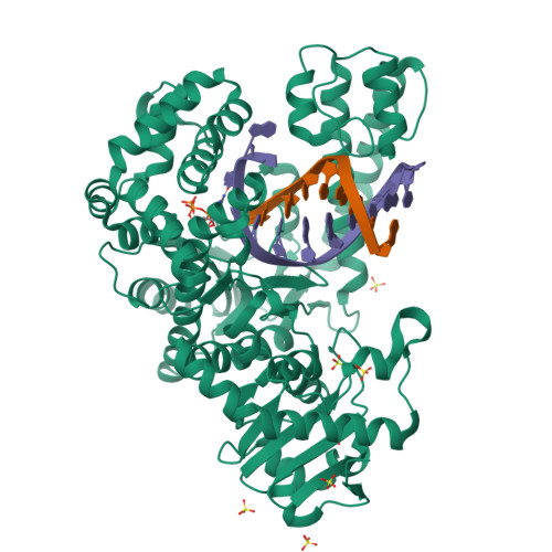RCSB PDB - 6UR9: DNA polymerase I Large Fragment from Bacillus ...