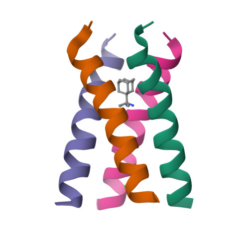 RCSB PDB - 6US9: Influenza A M2 proton channel wild type TM domain ...