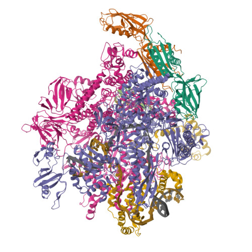 RCSB PDB - 6UUB: E. coli sigma-S transcription initiation complex with ...