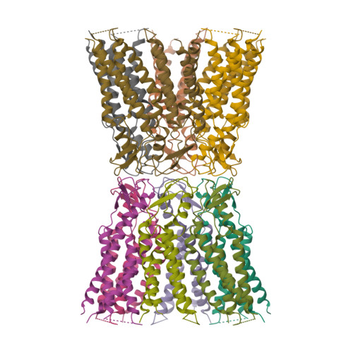 RCSB PDB - 6UVS: Human Connexin-26 (Low pH open conformation)