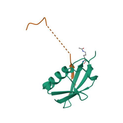 RCSB PDB - 6UYP: Crystal structure of K39-acetylated SUMO1 in complex ...