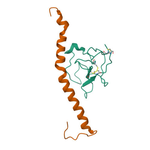 RCSB PDB - 6UZ4: Solution structure of AGL55-Kringle 2 complex