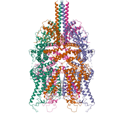RCSB PDB - 6UZA: Cryo-EM structure of human TRPC6 in complex with ...