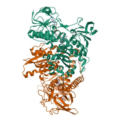 RCSB PDB - 6UZI: Crystal structure of Dihydrolipoyl dehydrogenase from ...