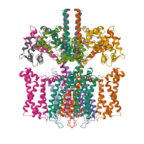 RCSB PDB - 6UZZ: structure of human KCNQ1-CaM complex
