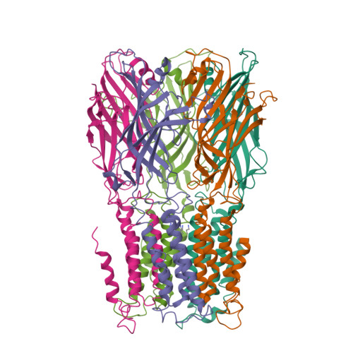 RCSB PDB - 6V03: ELIC-propylammonium complex in POPC-only nanodiscs