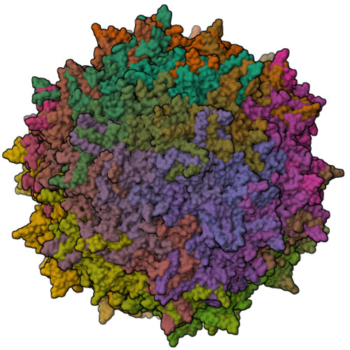 RCSB PDB - 6V12: Empty AAV8 particles