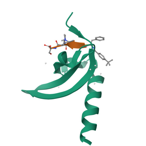 RCSB PDB - 6V2S: Crystal Structure of chromodomain of MPP8 in complex ...