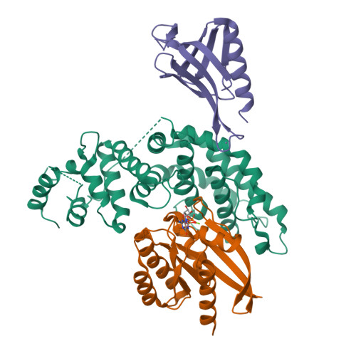 RCSB PDB - 6V65: Crystal structure of KRAS(GMPPNP)-NF1(GRD)-SPRED1 complex