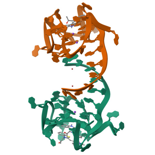 RCSB PDB - 6V9D: Co-crystal structure of the fluorogenic Mango-IV ...